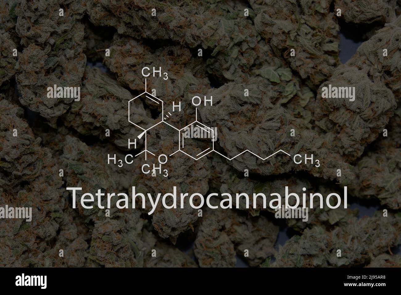 Legalizati hi-res stock photography and images - Alamy