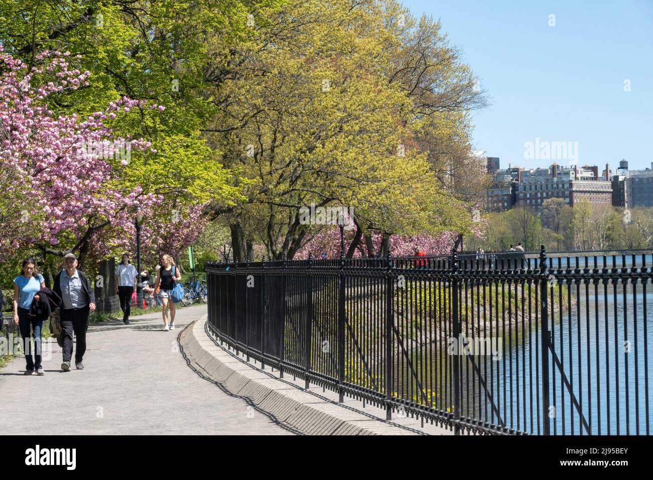 The Running Track around Jacqueline Kennedy Onassis Reservoir is a ...