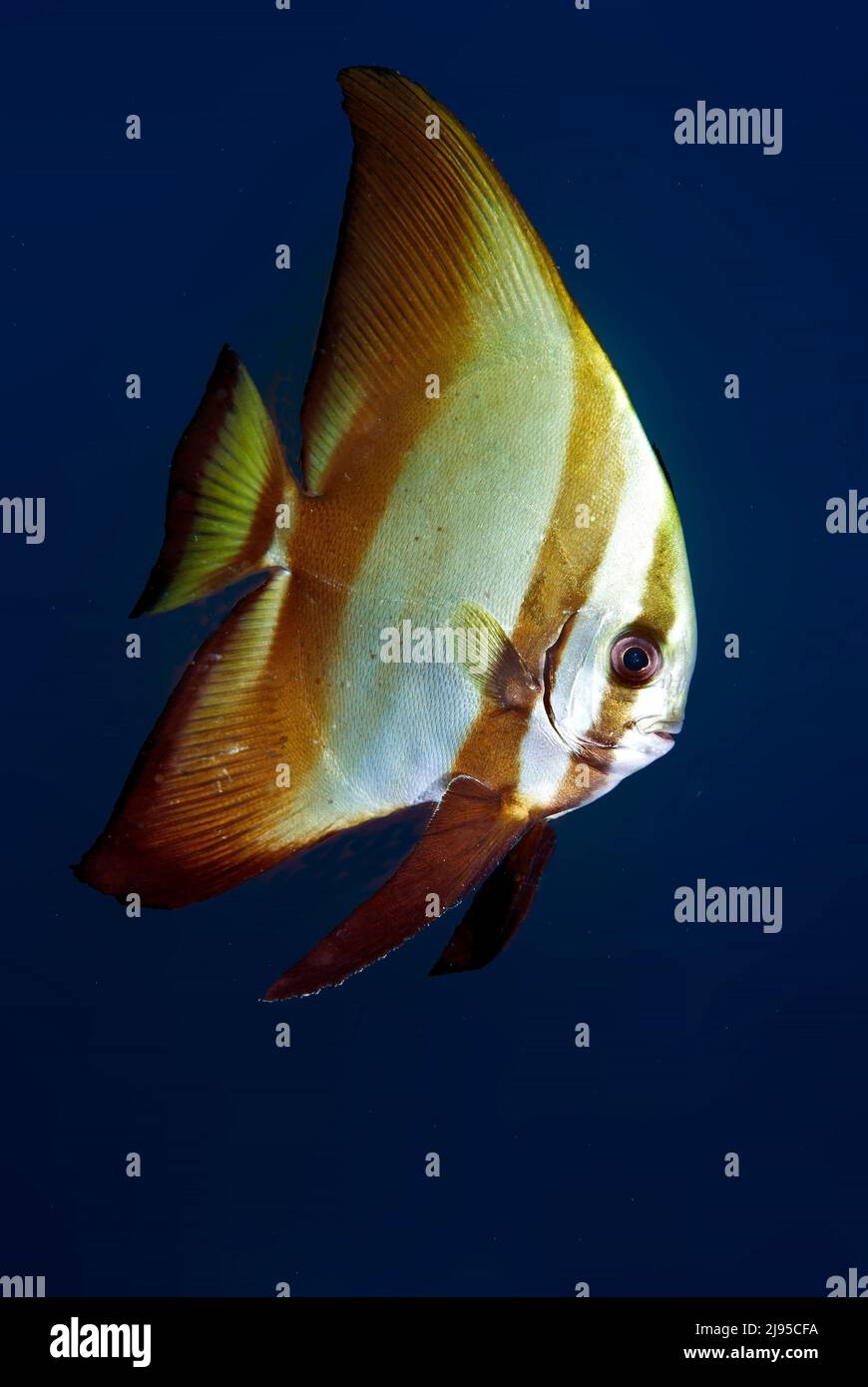 Micronesia energy hi-res stock photography and images - Alamy