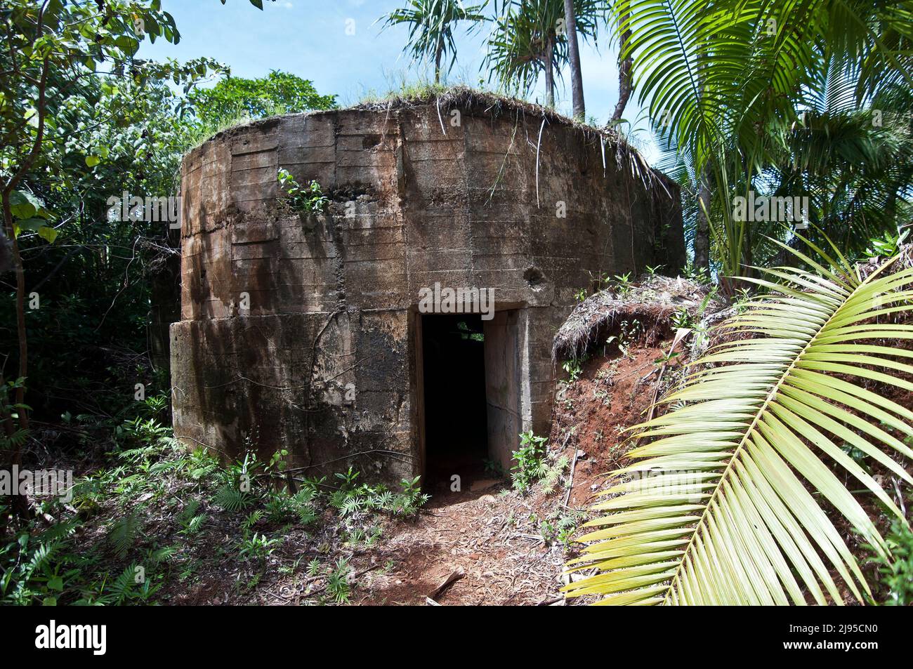 Japanese bunker from World War II, Babeldaob Island, Palau, Micronesia ...