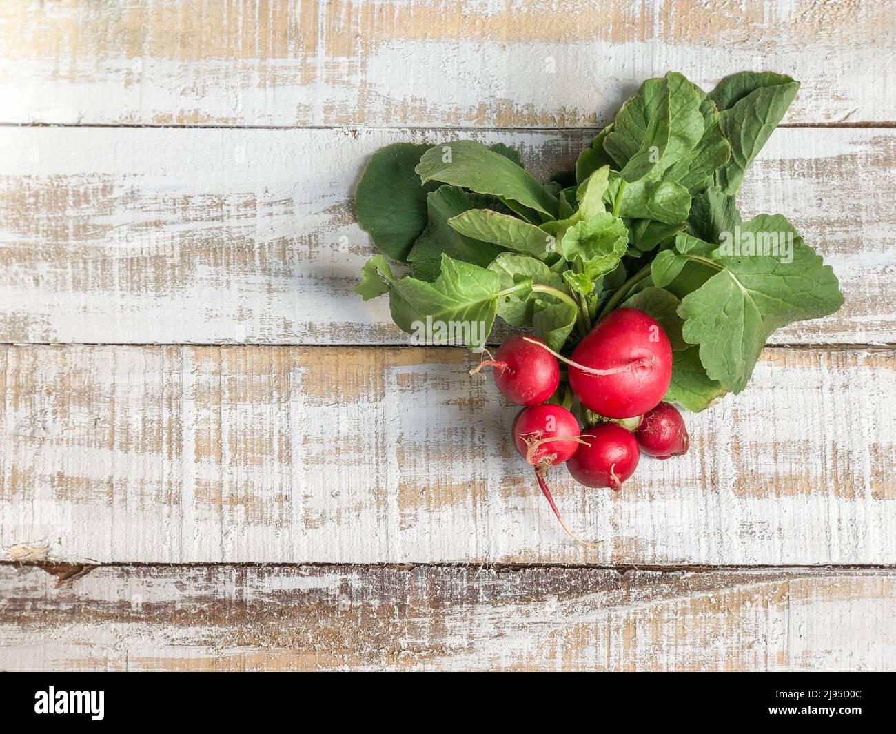 fresh and ripe radish bunch on a wooden table Stock Photo - Alamy