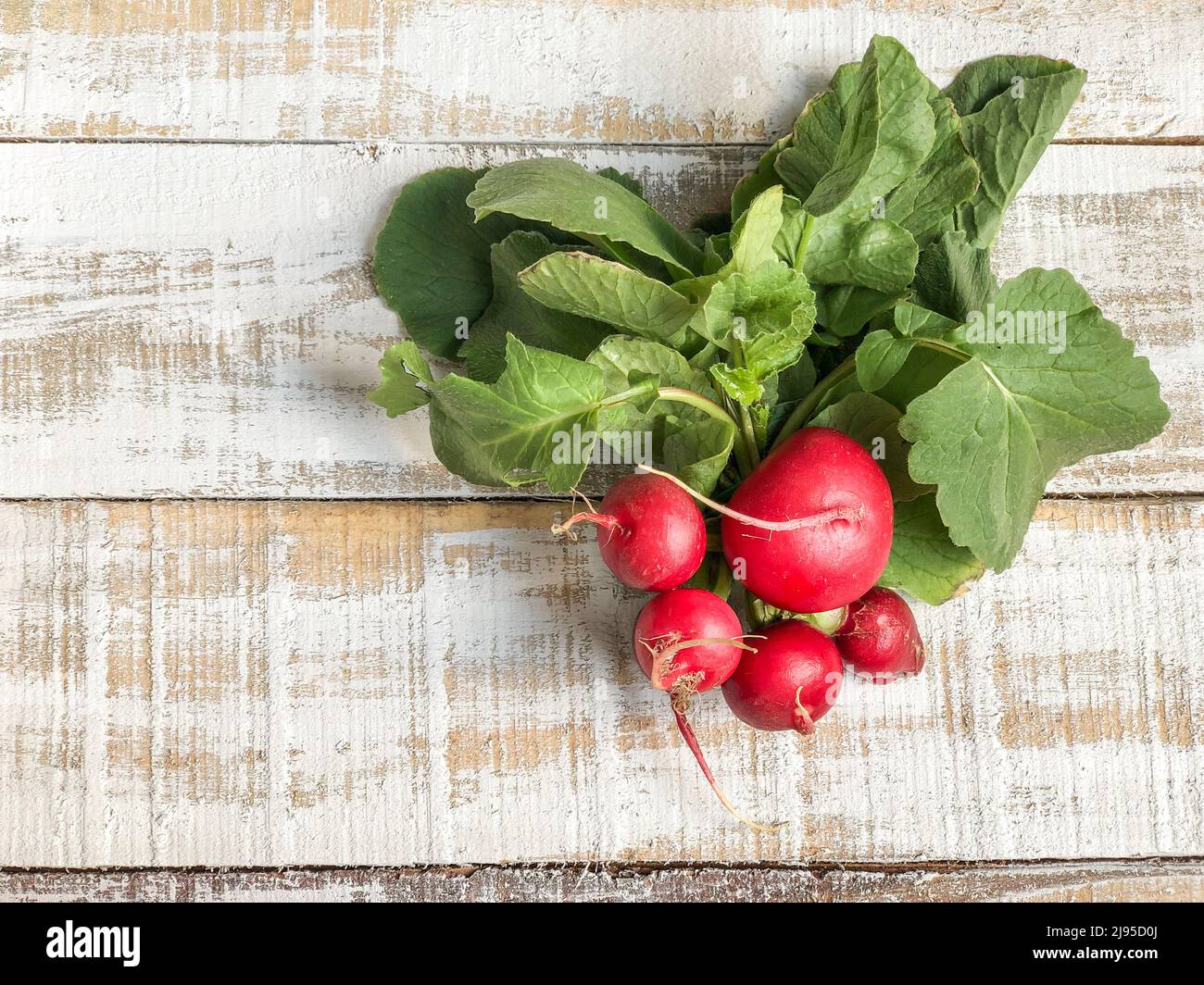 fresh and ripe radish bunch on a wooden table Stock Photo - Alamy