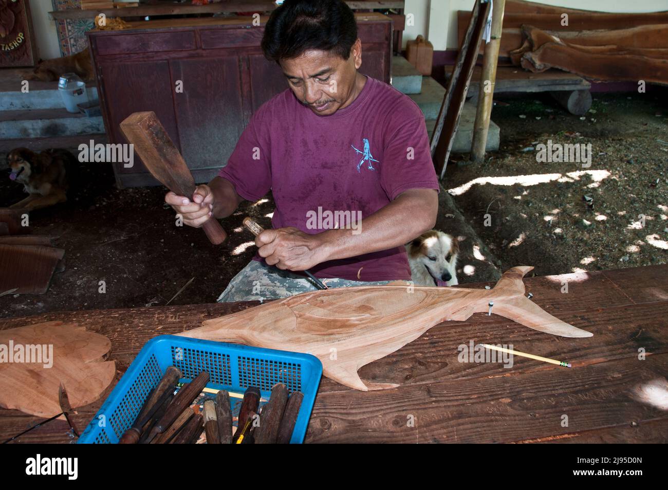 Palau micronesia people hi-res stock photography and images - Alamy