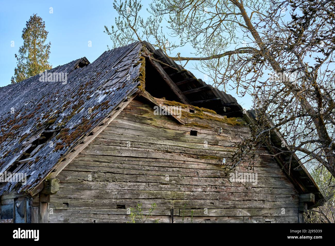 Old wooden house with broken roof in the early spring during the day in ...