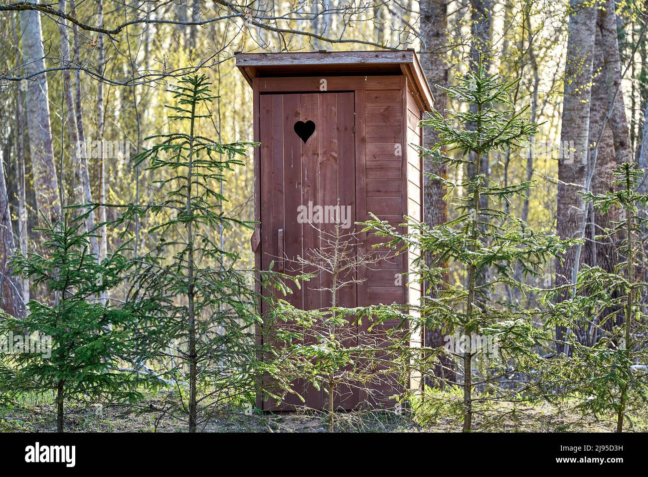 Wooden outdoor toilet with heart on the door. Spruce trees around Stock ...