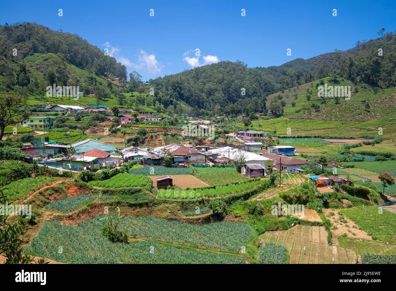 Rural sri lanka hi-res stock photography and images - Alamy