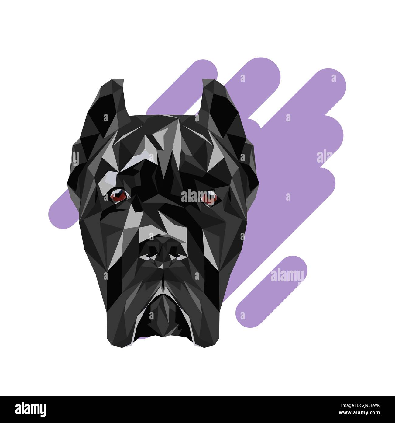 Cane Corso dog animal low poly design. Triangle vector illustration ...