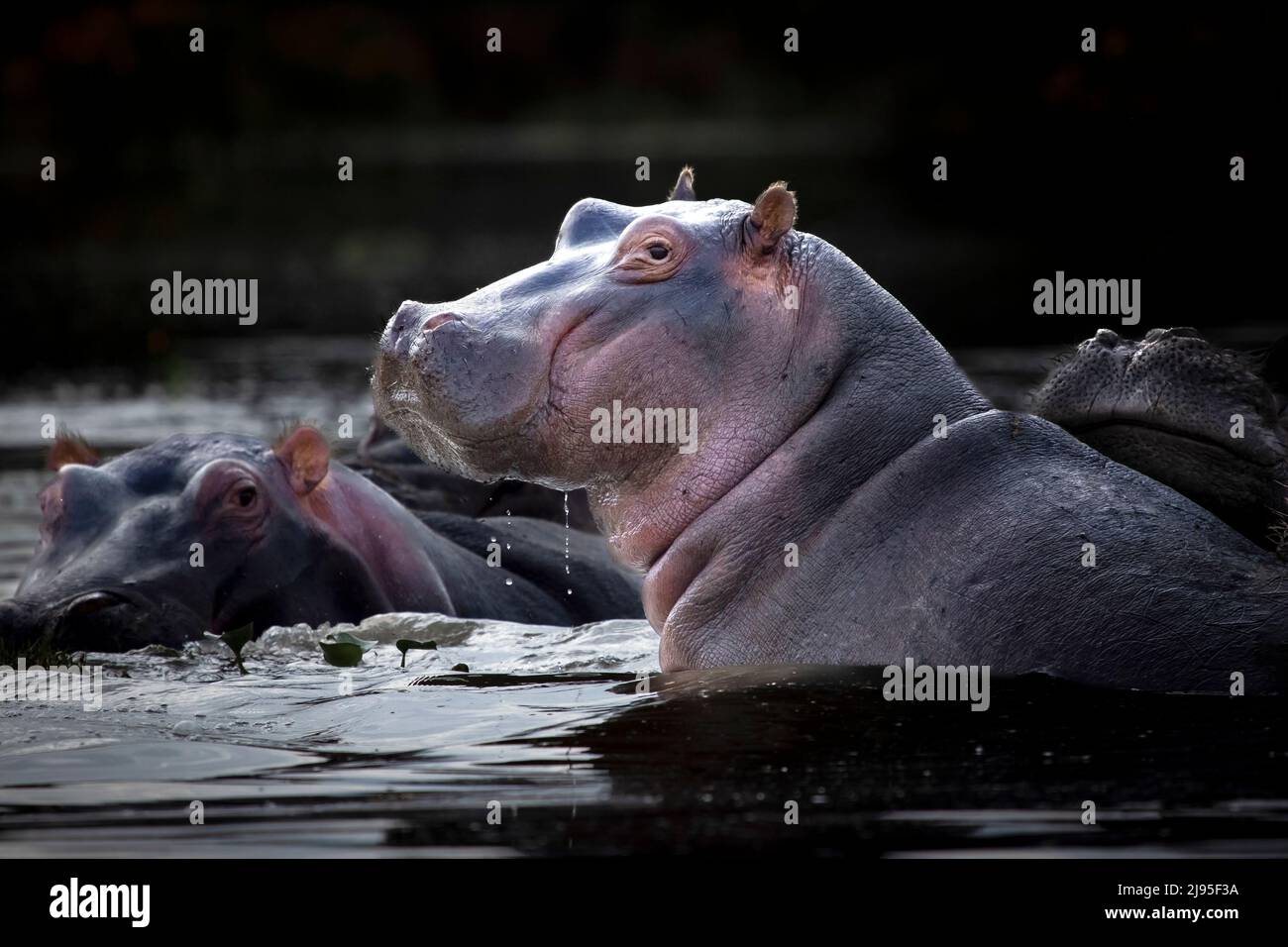 vertical illustration with multiple squares of directions measured and ...