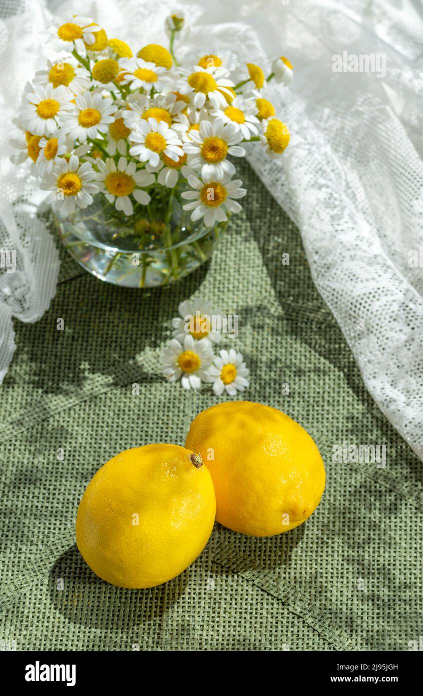 Daisy fresh wild flowers in glass jar, whole lemons, on green placemat ...