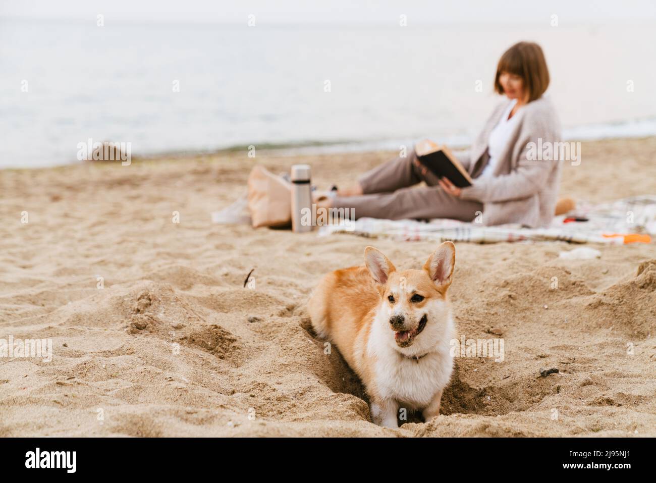 Senior woman reading book while resting with her dog on sandy beach ...