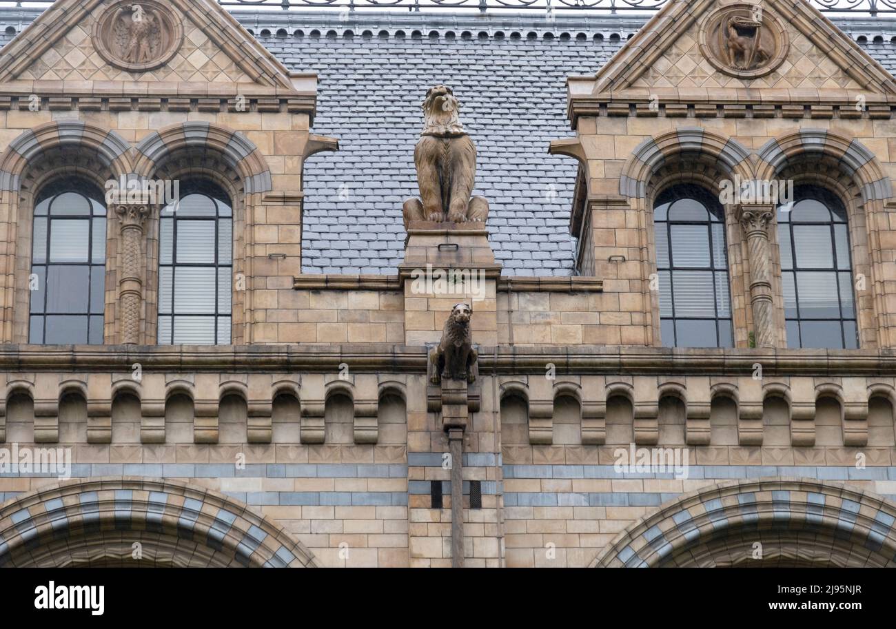 Natural history museum building in London,UK Stock Photo - Alamy