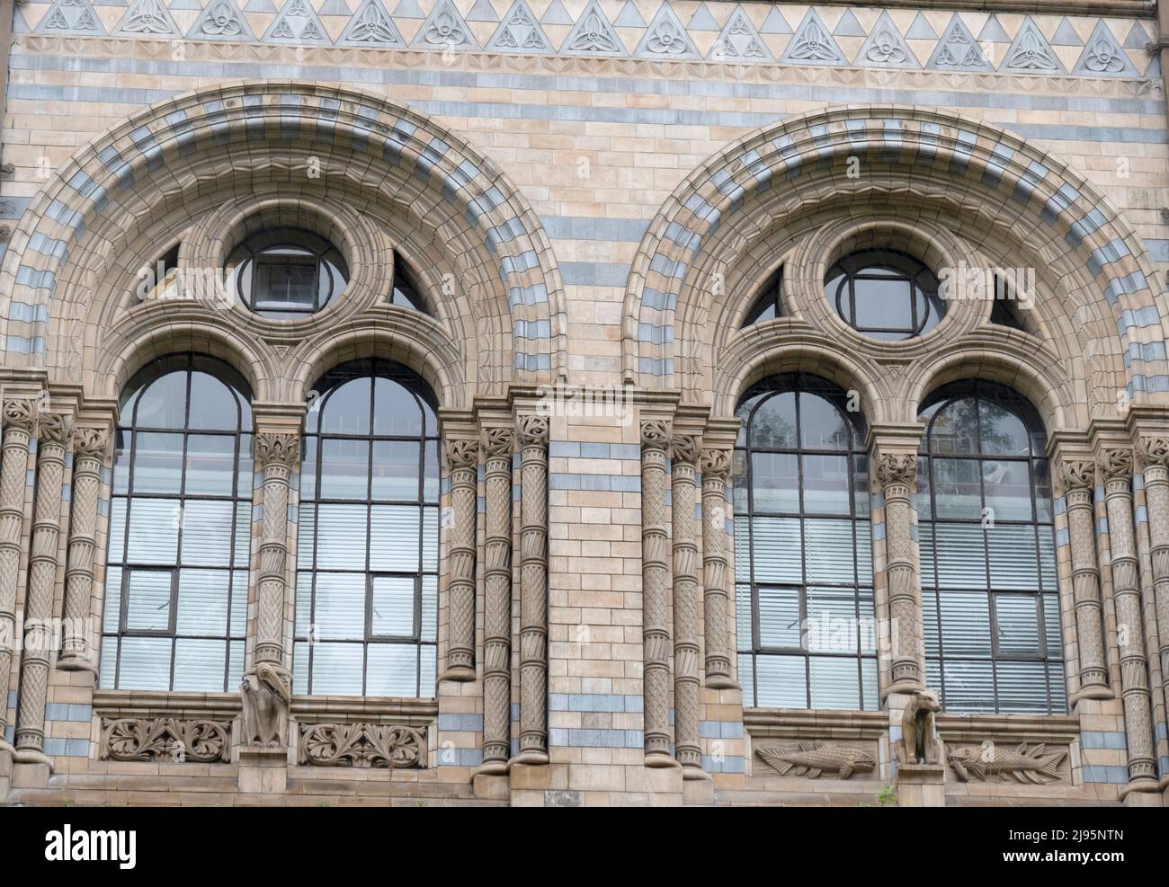 Natural history museum building in London,UK Stock Photo - Alamy
