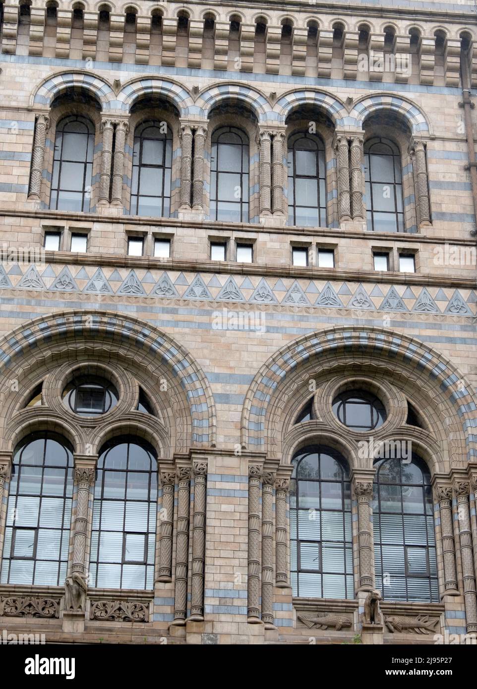 Natural history museum building in London,UK Stock Photo - Alamy