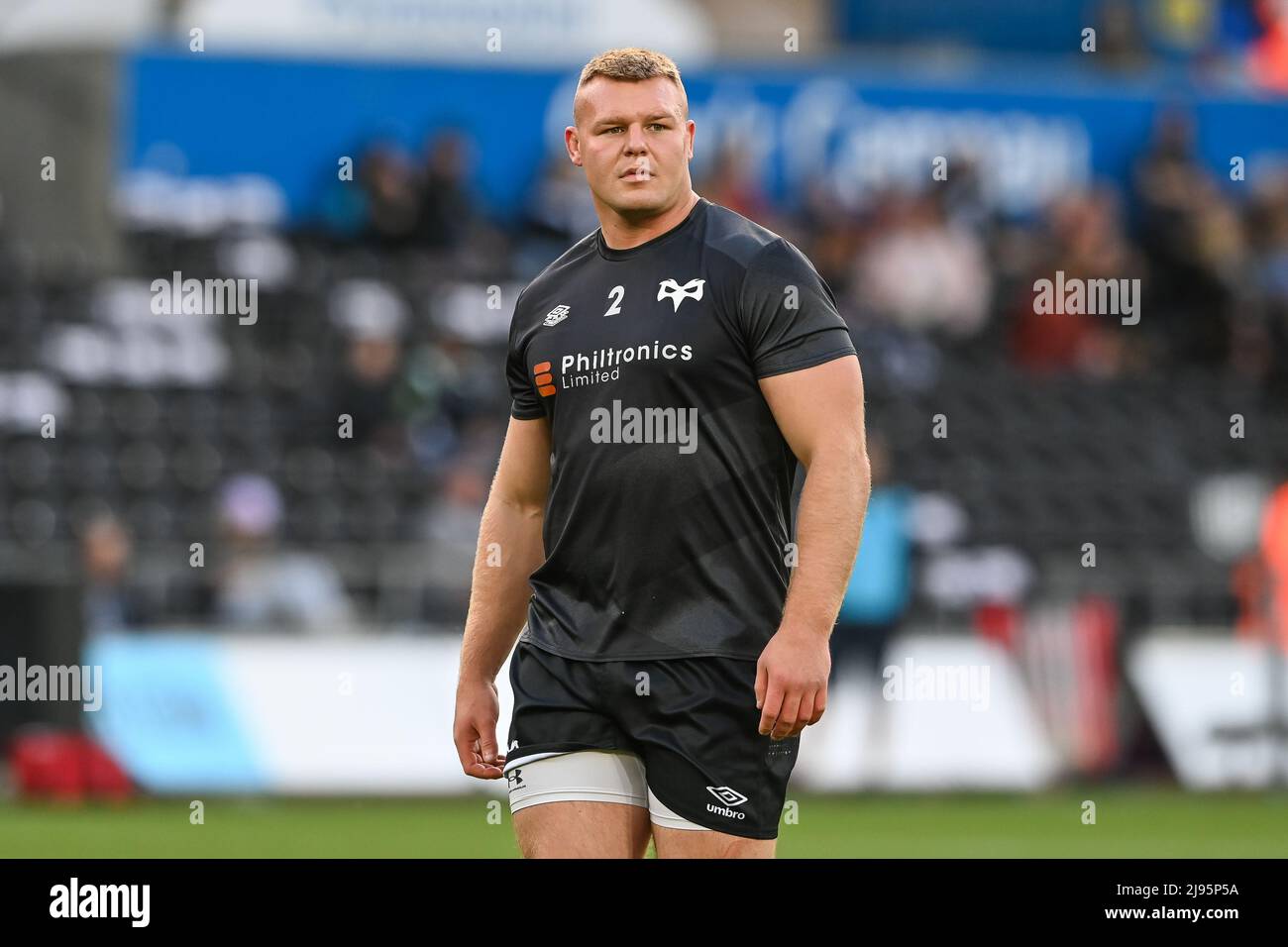 Ospreys rugby lake hi-res stock photography and images - Alamy