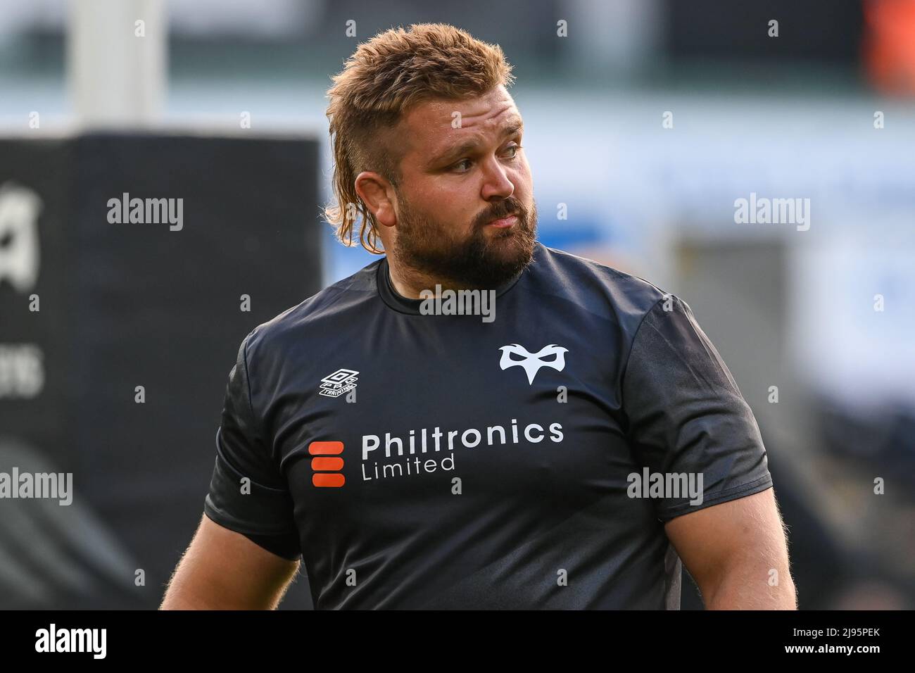 Tomas francis rugby hi-res stock photography and images - Alamy
