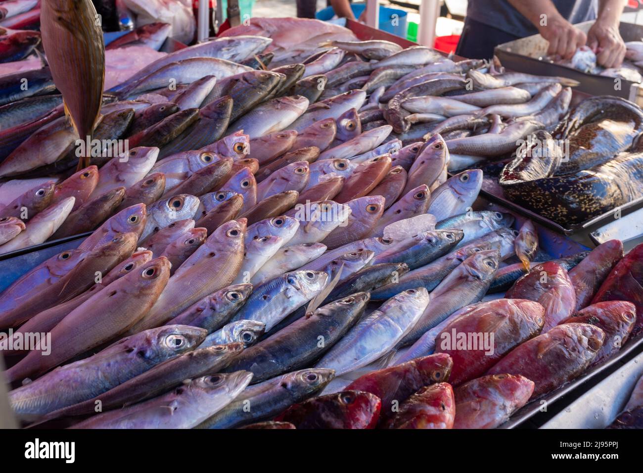 Sunday Morning Fish Market, Marsaxlokk, Malta Stock Photo - Alamy