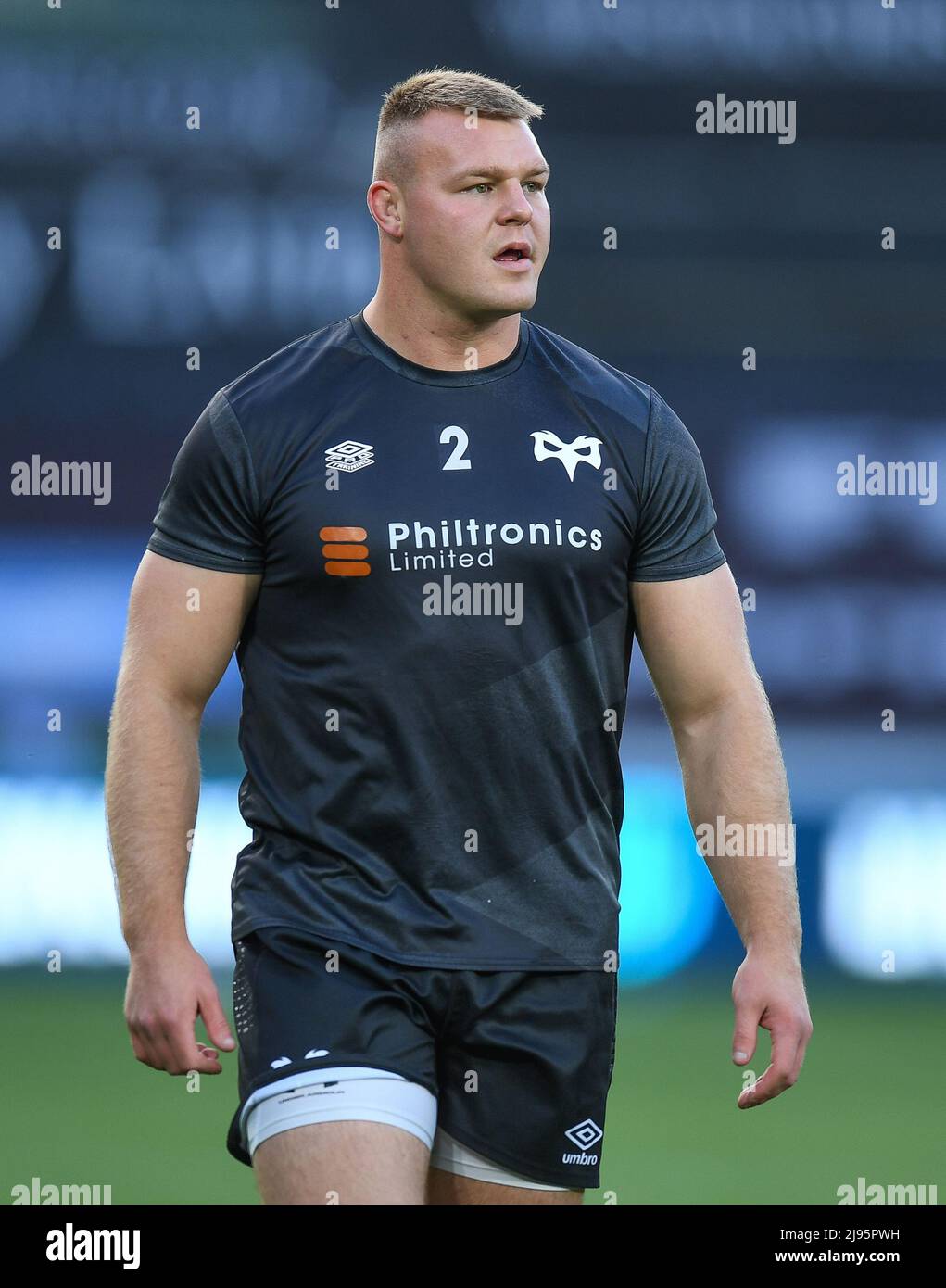 Ospreys rugby lake hi-res stock photography and images - Alamy