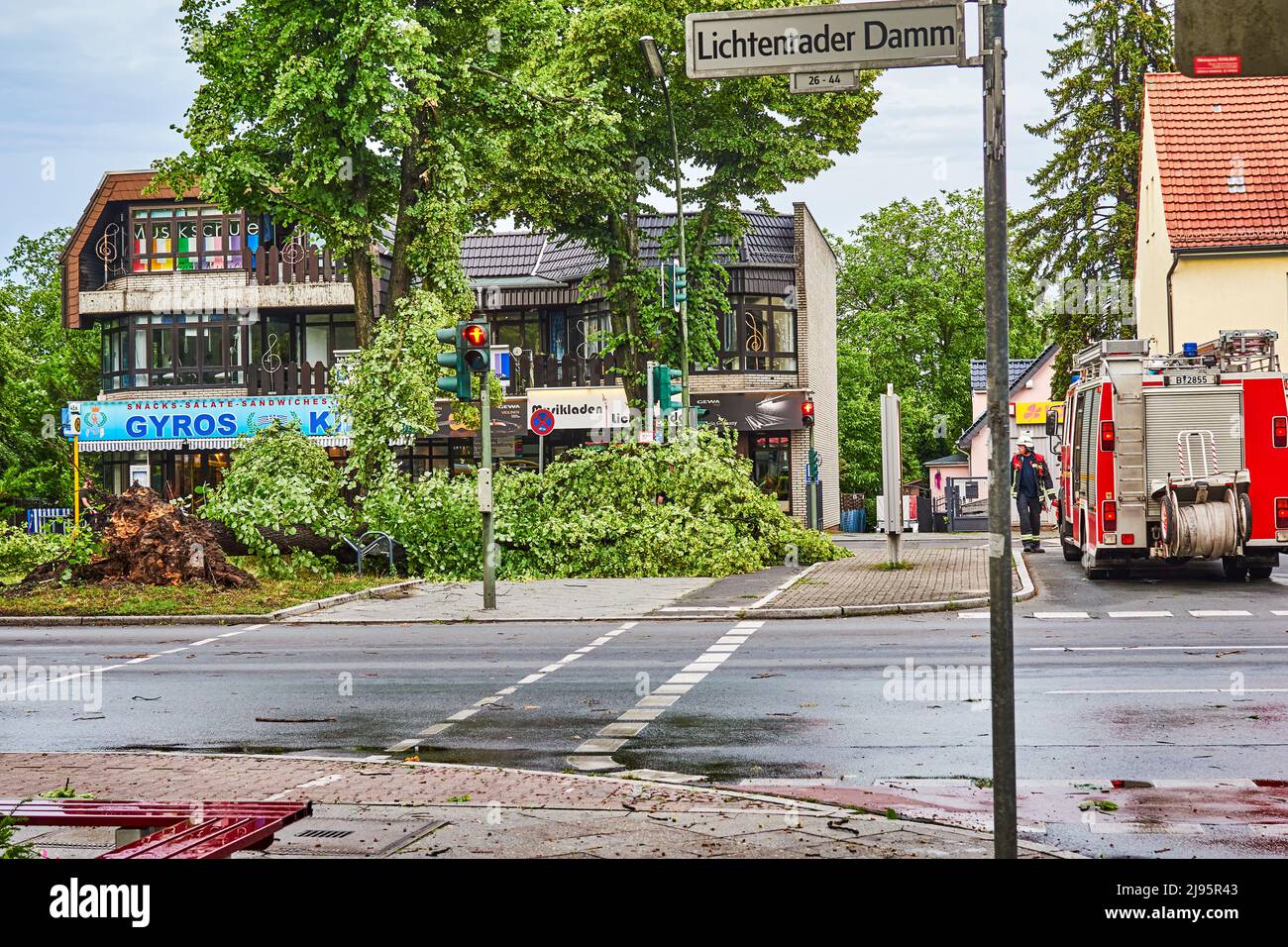 Berlin, Germany - June 12, 2019: An uprooted tree lying on a main ...
