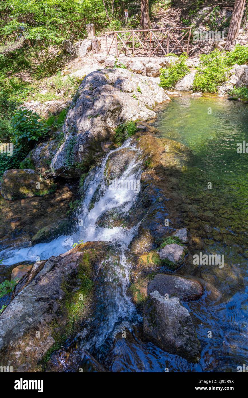 The natural cypress forest extends above the town of Fontegreca, in the ...