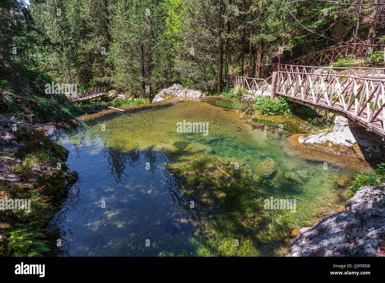 The natural cypress forest extends above the town of Fontegreca, in the ...