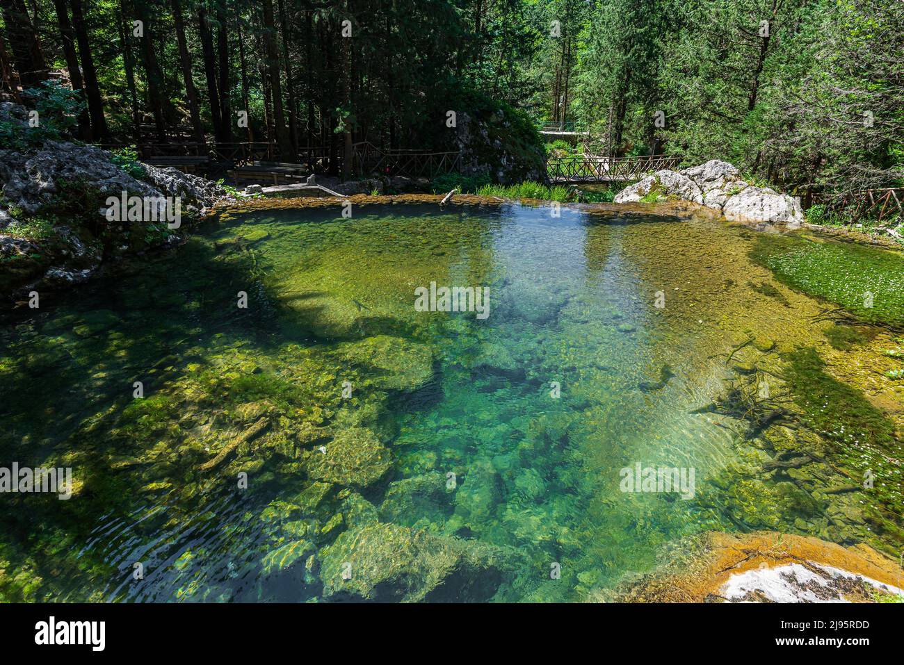 The natural cypress forest extends above the town of Fontegreca, in the ...