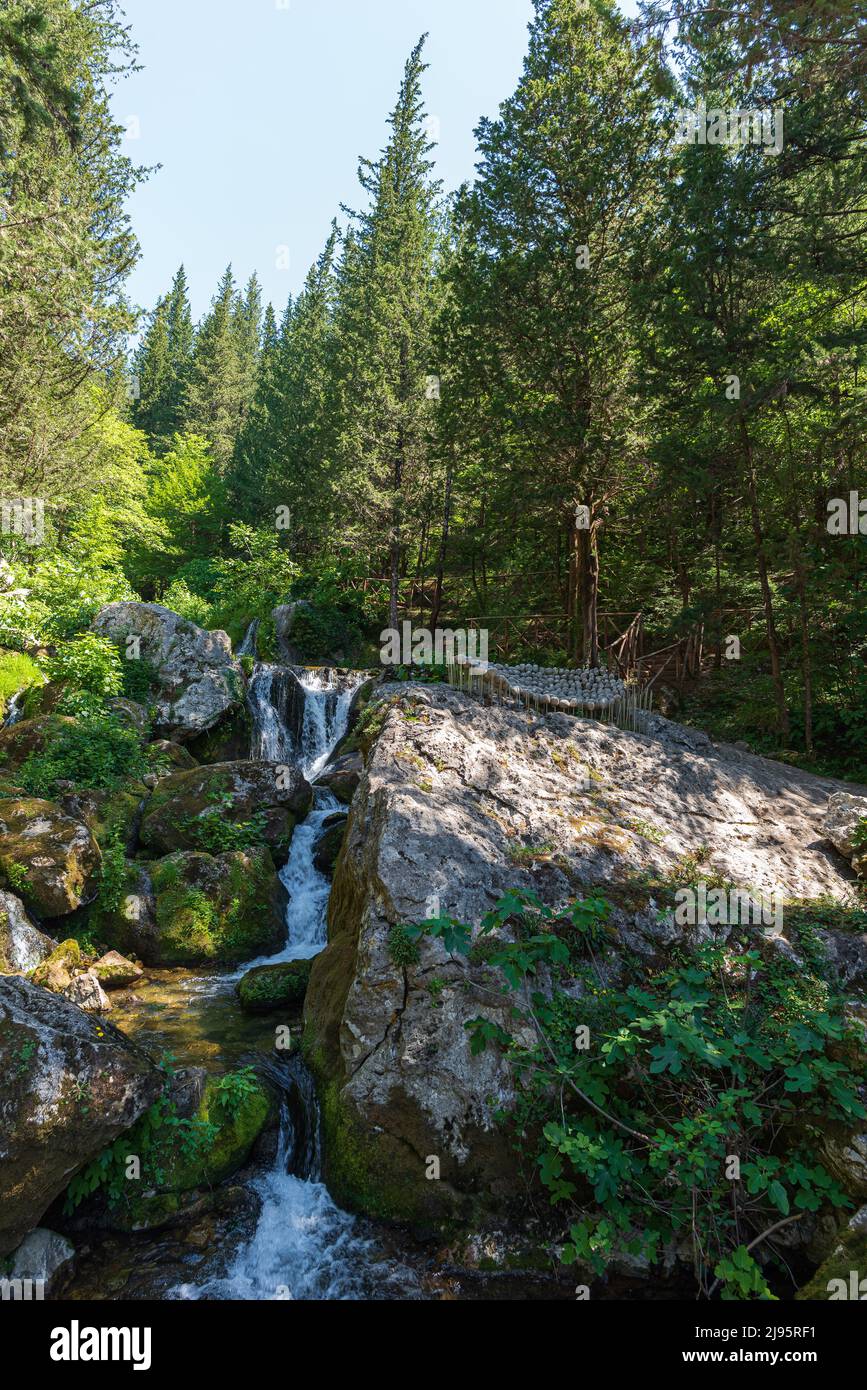 The natural cypress forest extends above the town of Fontegreca, in the ...