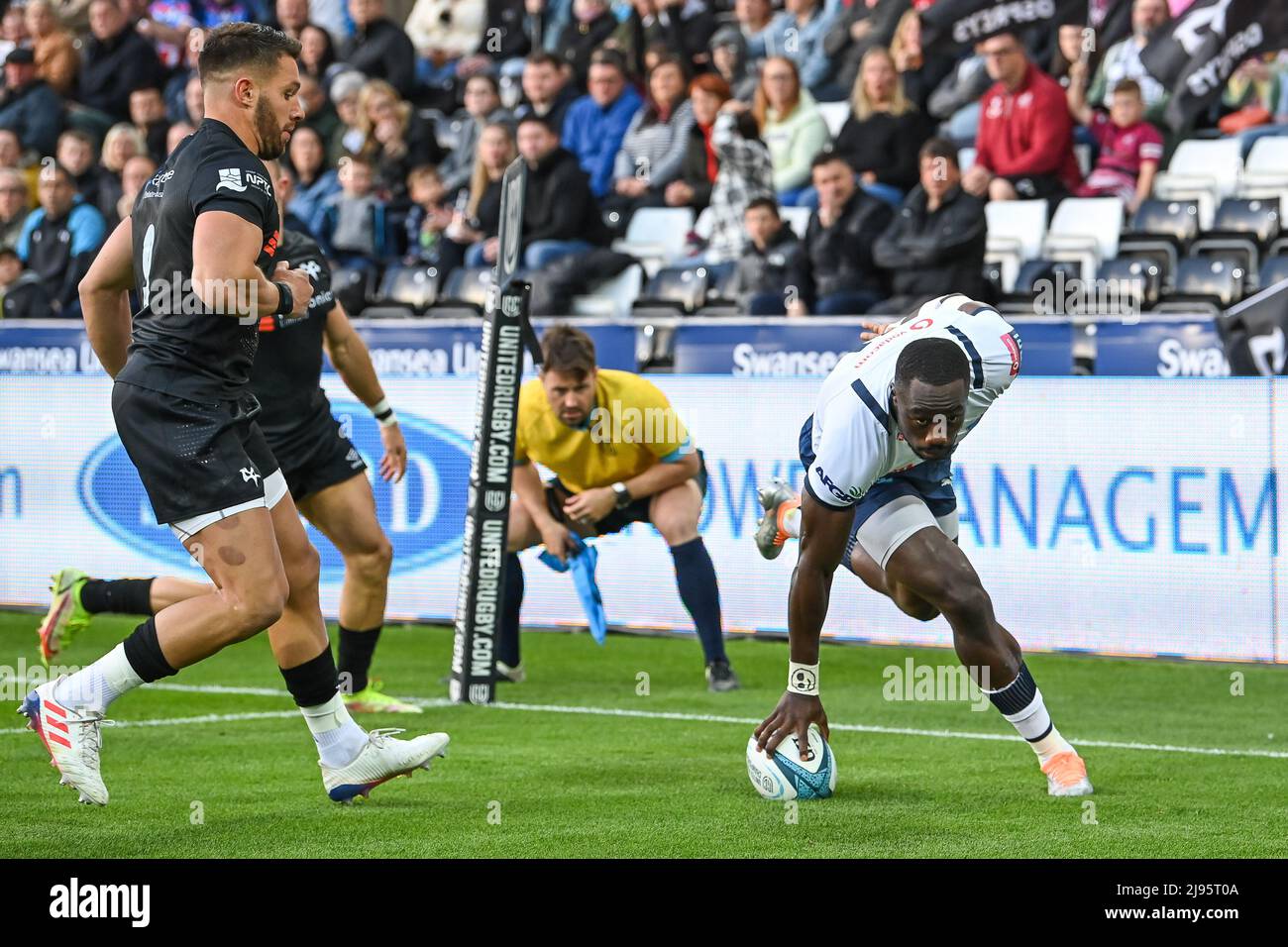 Madosh Tambwe of Vodacom Bulls goes over for a try Stock Photo - Alamy
