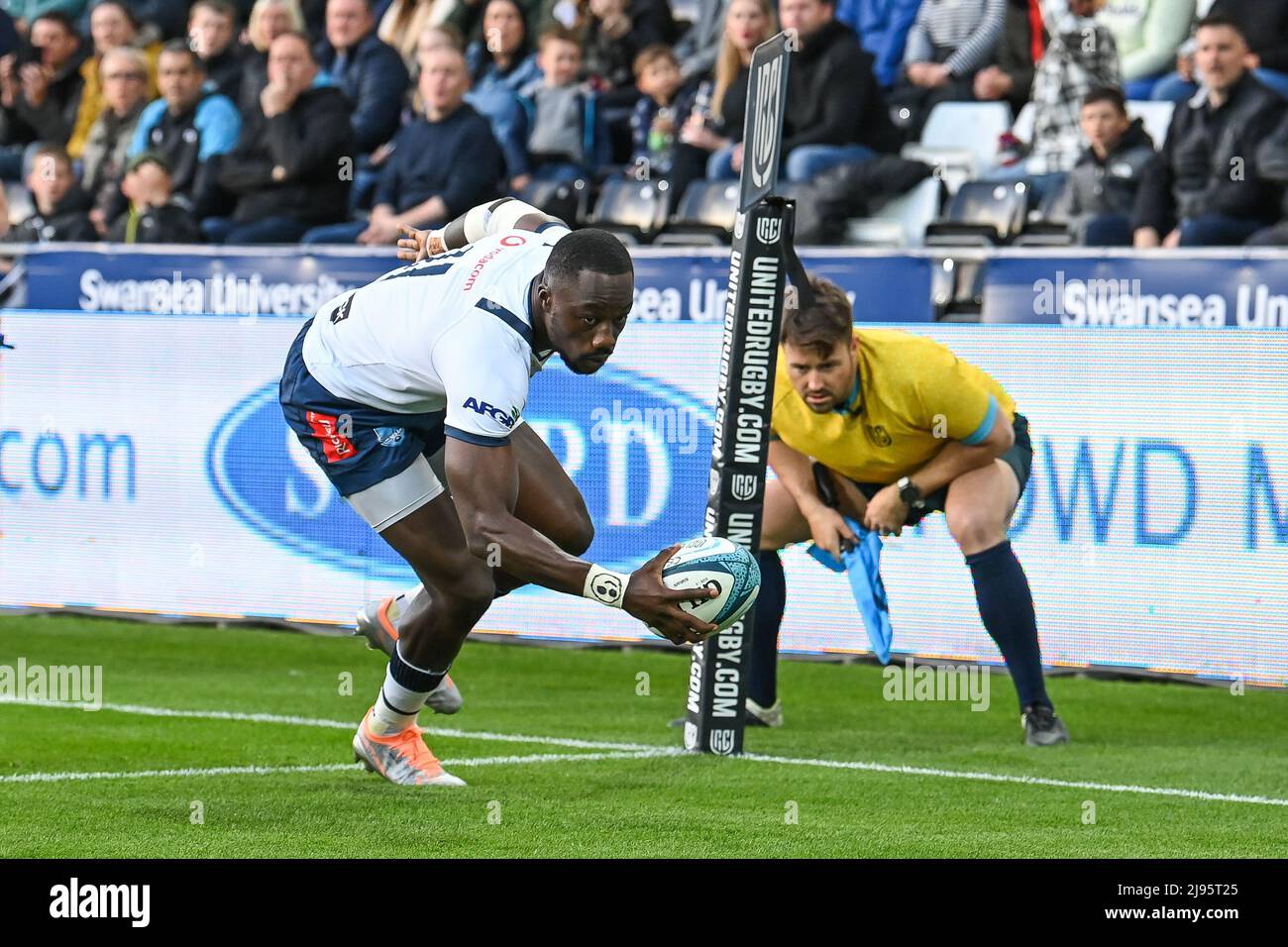 Madosh tambwe hi-res stock photography and images - Alamy