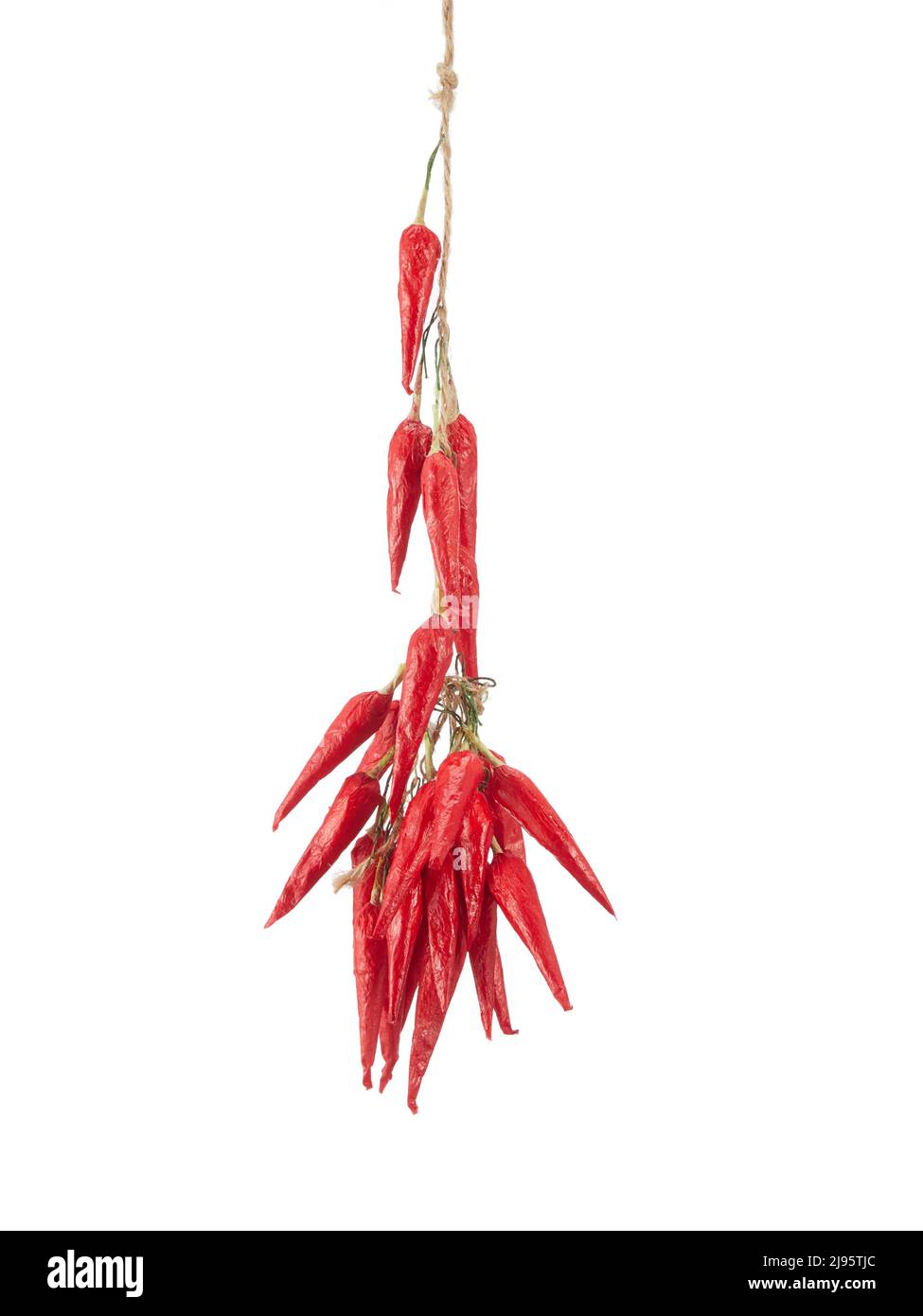Dried chillies hanging on white background Stock Photo - Alamy
