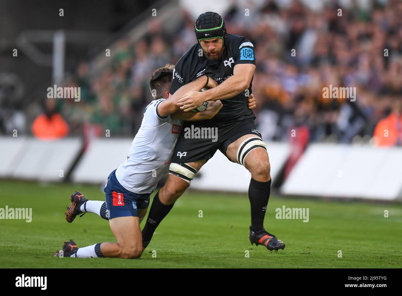 Morgan Morris of Ospreys Rugby, on the attack Stock Photo - Alamy