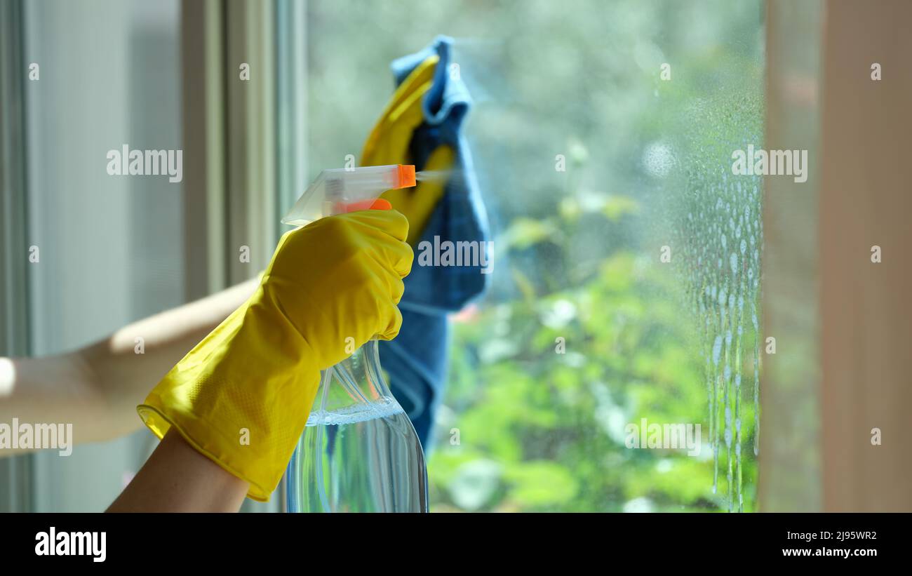 Cleaner washing window with detergent and rags in house Stock Photo - Alamy