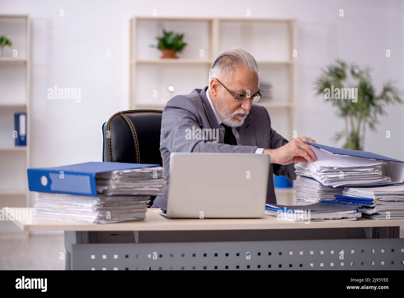 Old businessman employee and too much work in the office Stock Photo ...