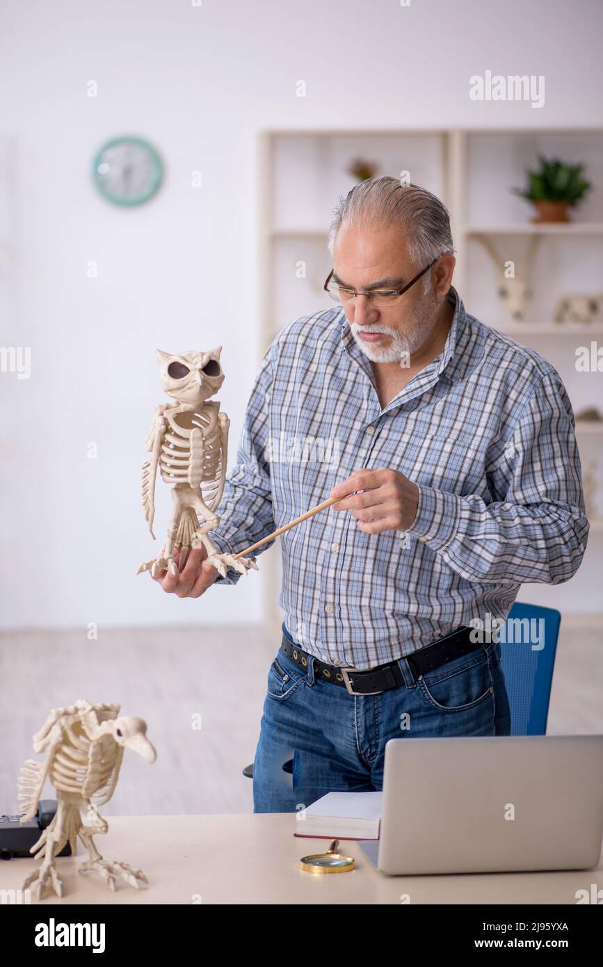 Old paleontologist examining ancient animals at lab Stock Photo - Alamy