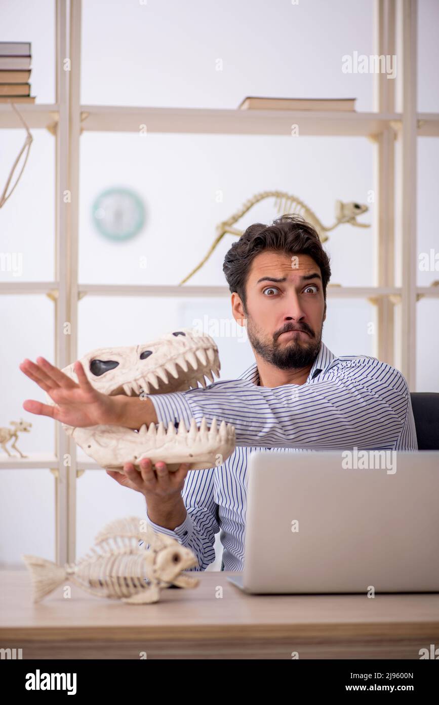 Young paleontologist examining ancient animals at lab Stock Photo - Alamy