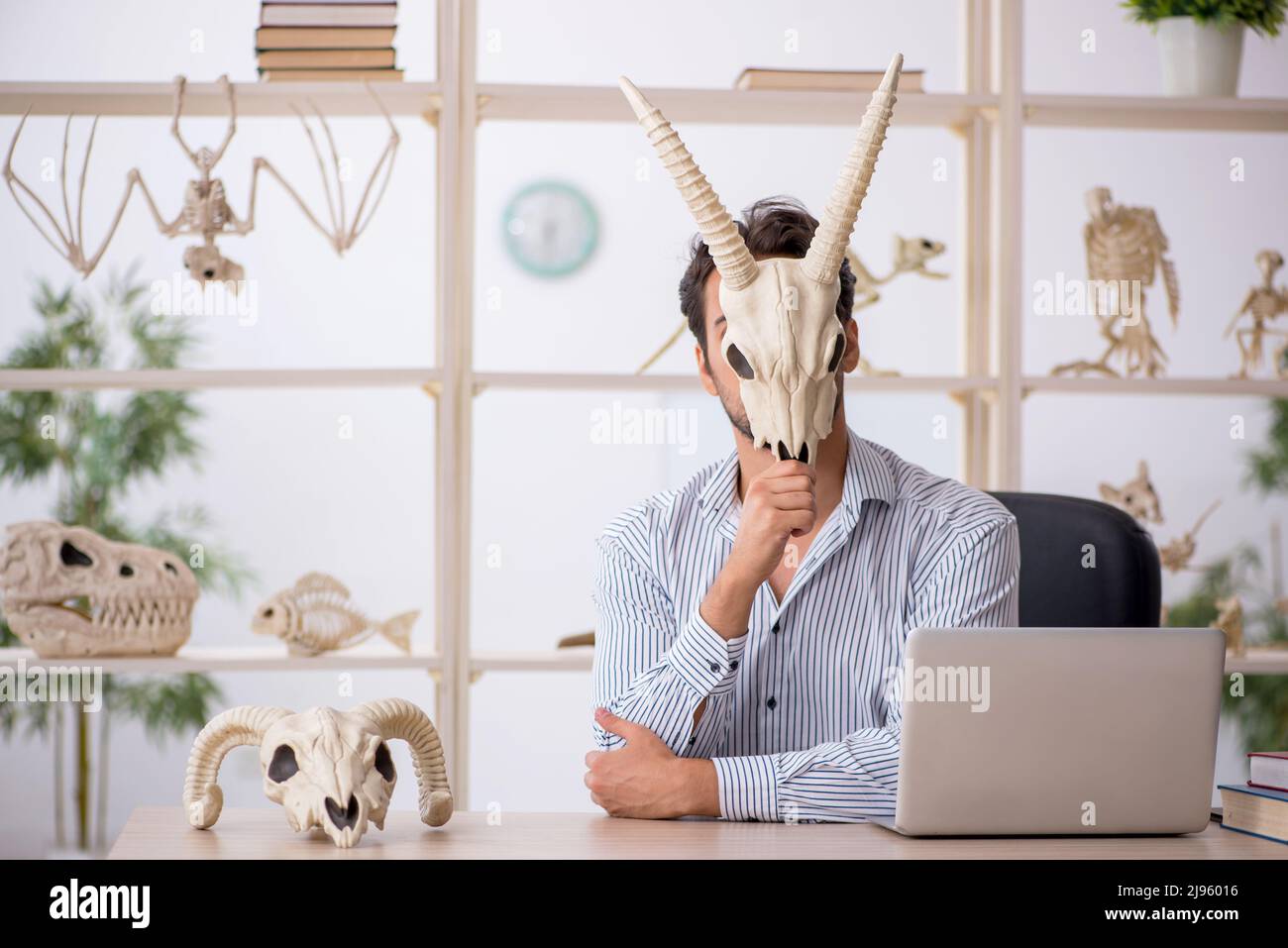 Young paleontologist examining ancient animals at lab Stock Photo - Alamy