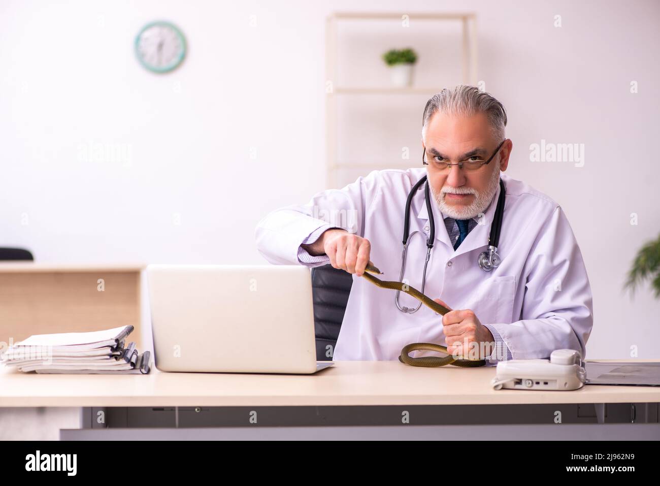 Aged male doctor holding snake at workplace Stock Photo - Alamy