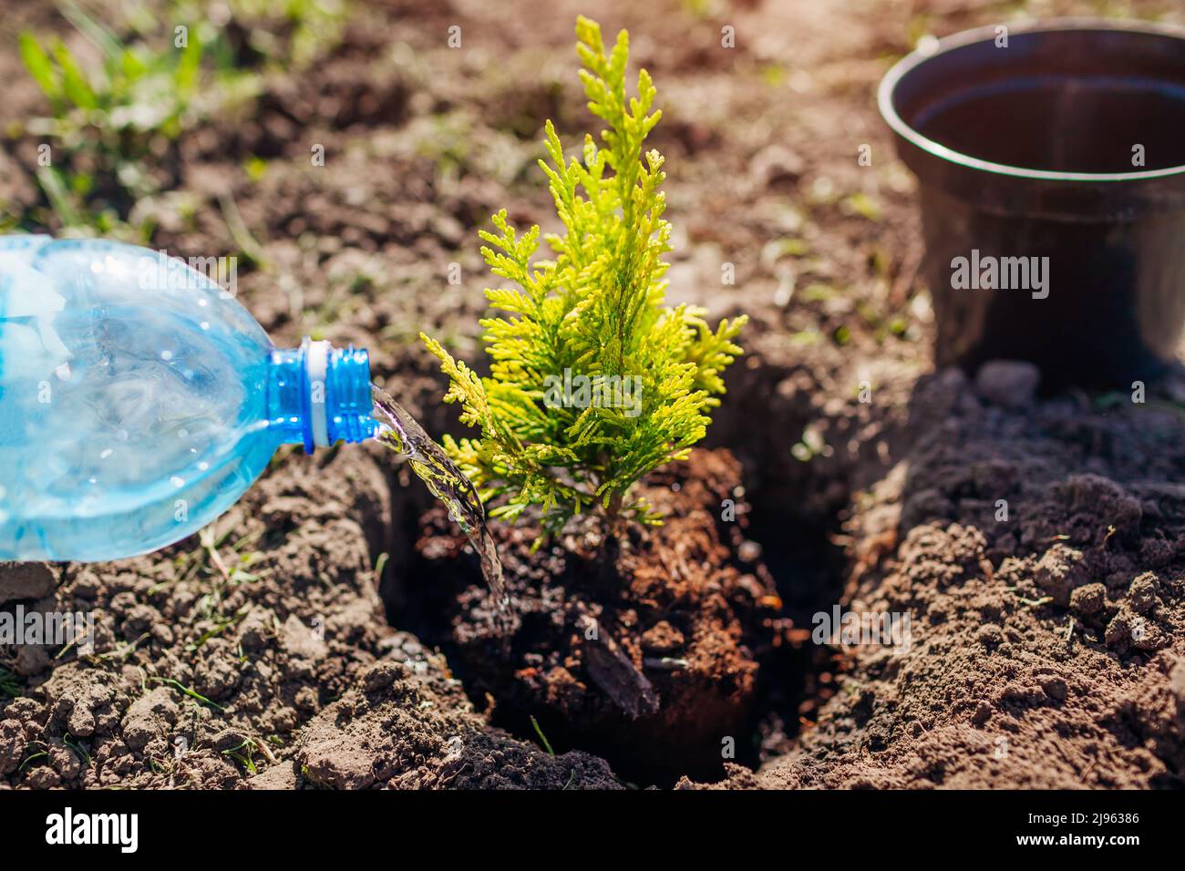 Watering planting hole hi-res stock photography and images - Alamy