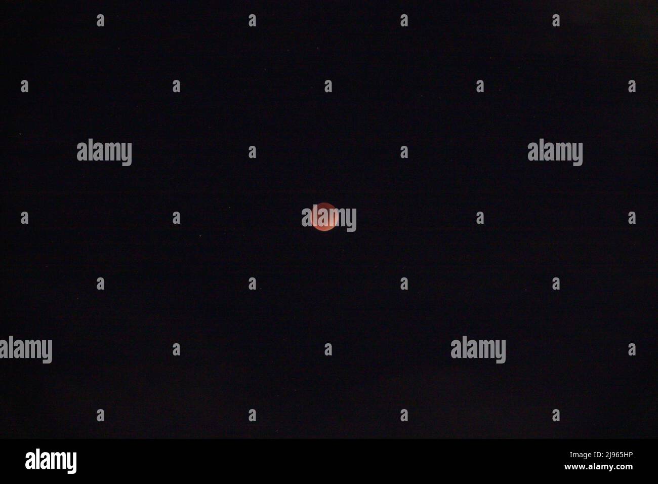 Miami Beach Florida,total lunar eclipse Super Flower Blood Moon Stock ...