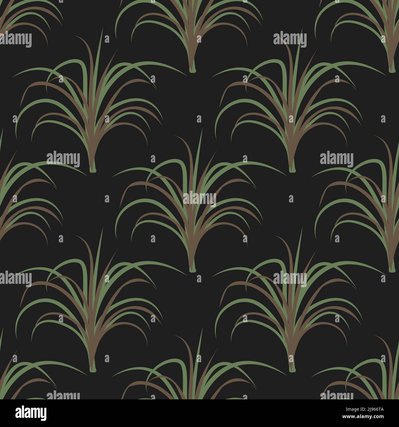 Lemongrass vector vectors hi-res stock photography and images - Alamy