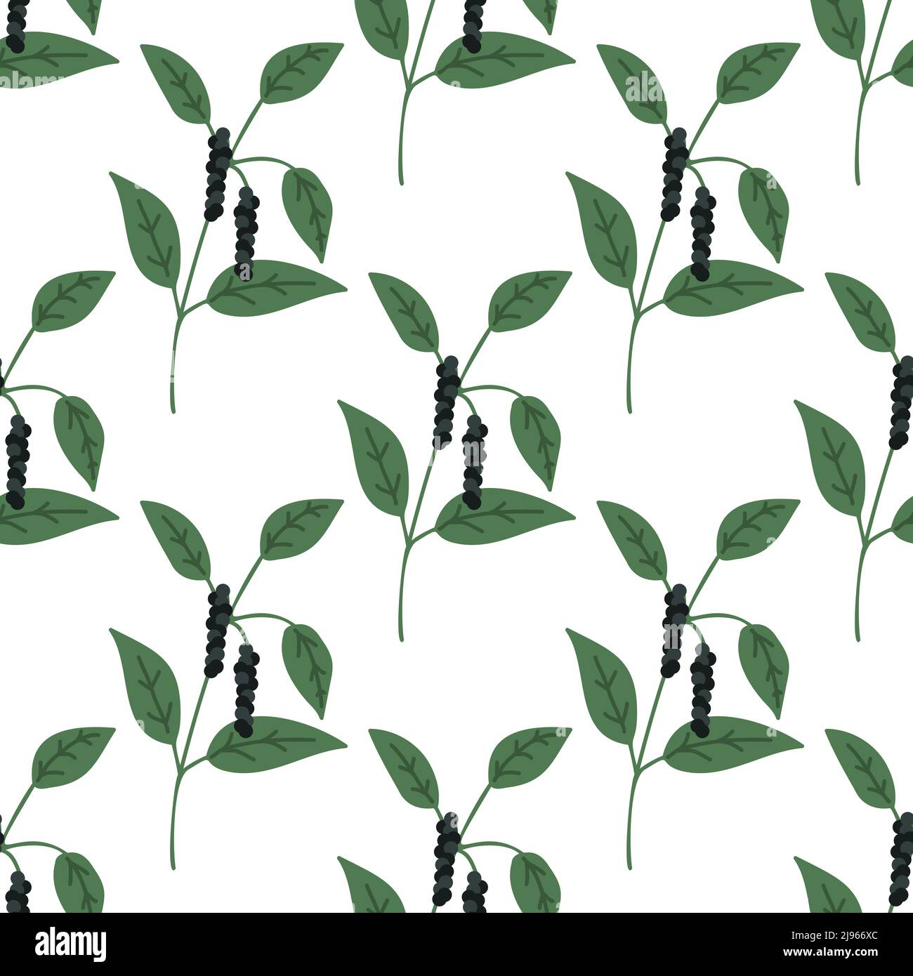Seamless black pepper plant pattern Stock Vector Image & Art - Alamy