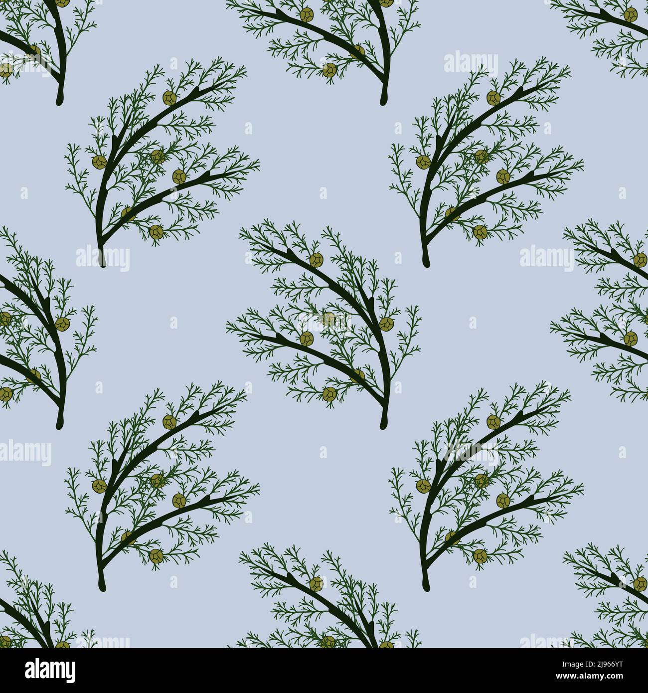 Seamless cypress branches vector pattern Stock Vector Image & Art - Alamy