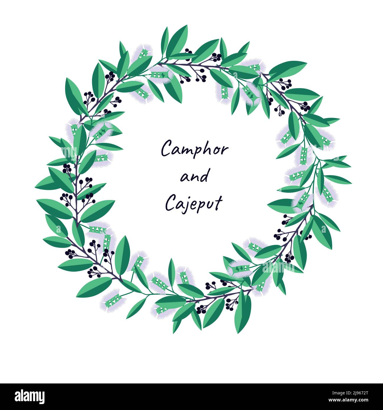 Camphor and cajeput wreath vector illustration Stock Vector Image & Art ...