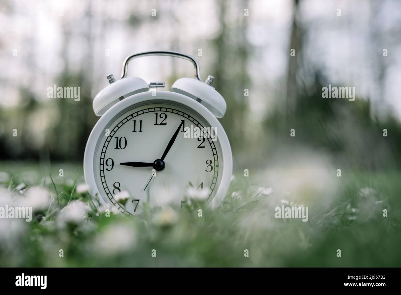 White alarm clock in grass with daisy flowers. Spring season change and ...