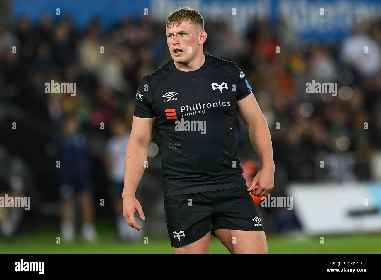 Jac Morgan of Ospreysduring the game Stock Photo - Alamy