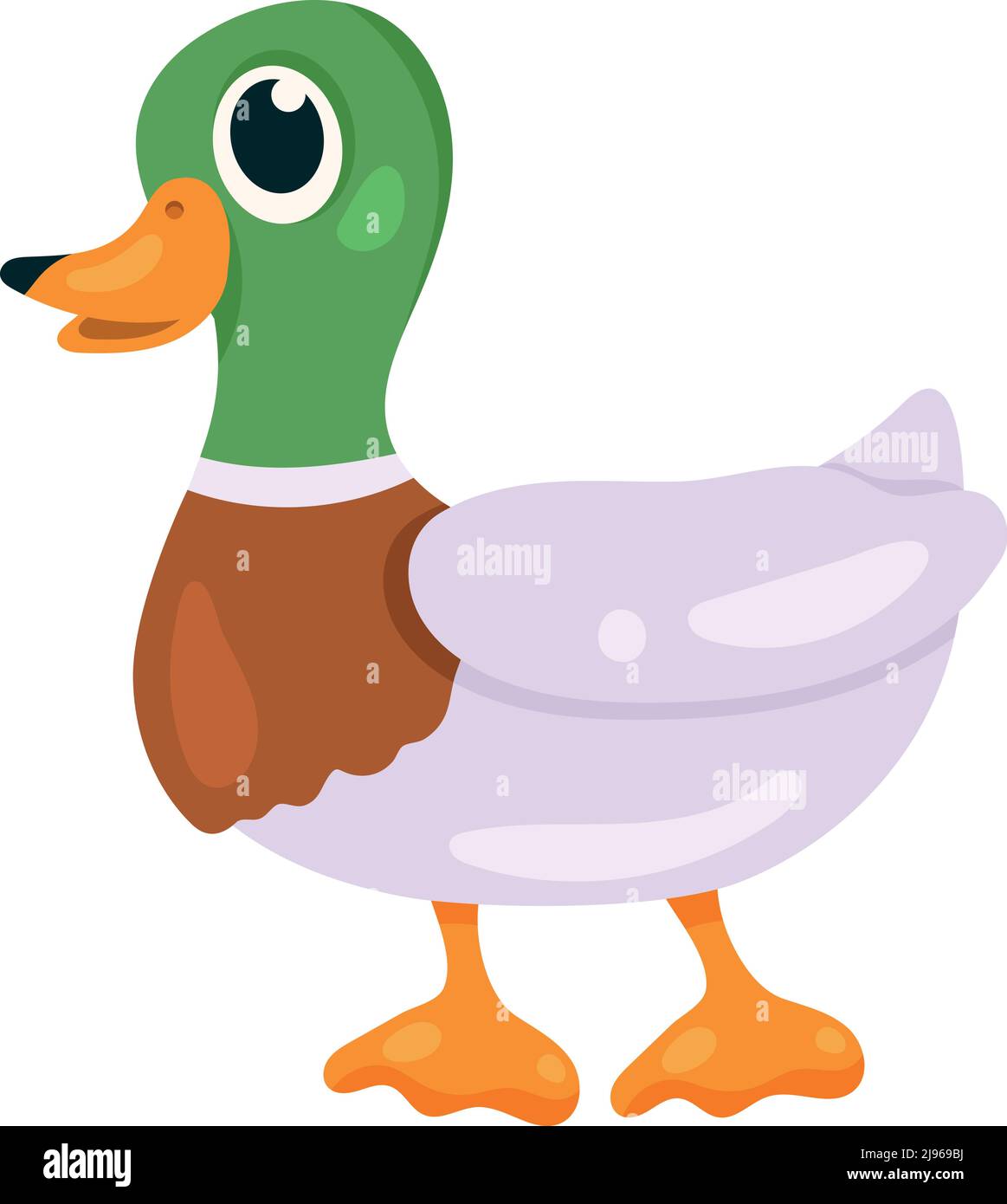 duck bird animal fauna icon Stock Vector Image & Art - Alamy