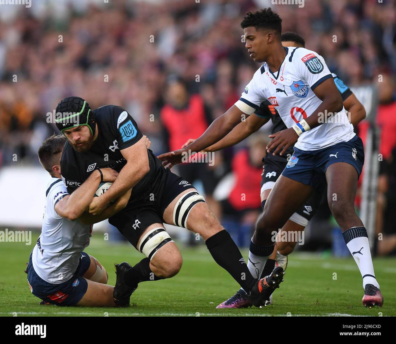 Morgan morris ospreys hi-res stock photography and images - Alamy