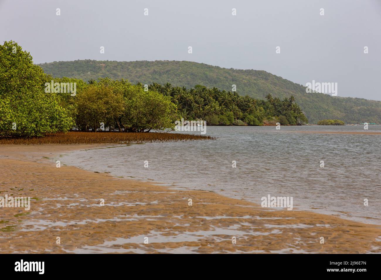 Shallow summer river hi-res stock photography and images - Alamy