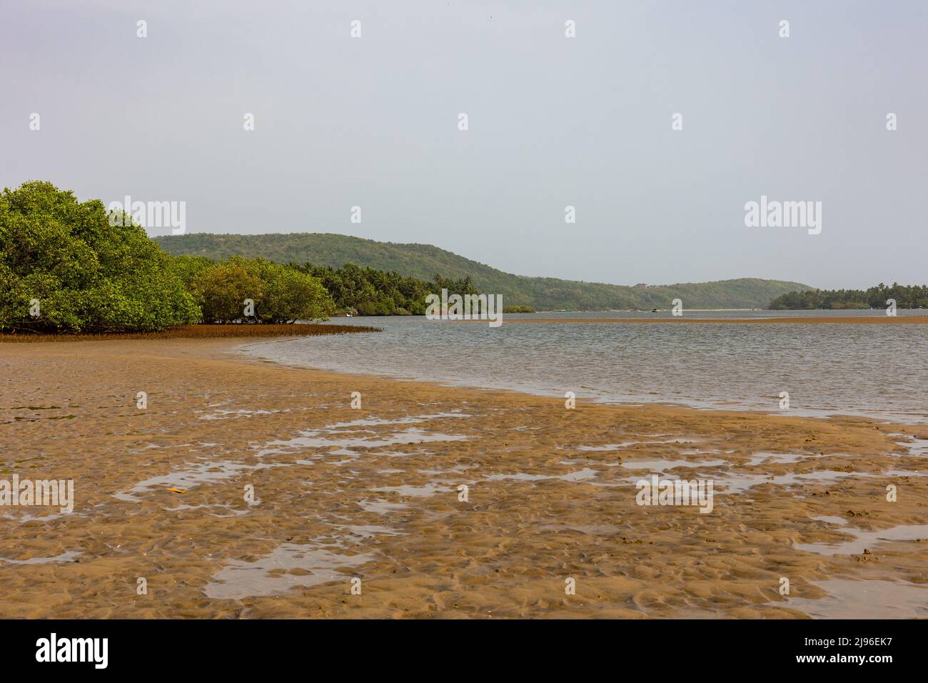 Shallow areas on Karli River during summer season in Devbag, Malvan ...
