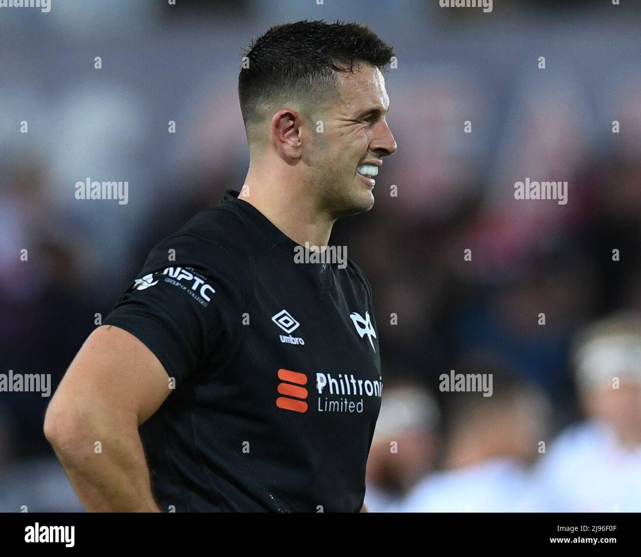 Ospreys rugby watkin hi-res stock photography and images - Alamy