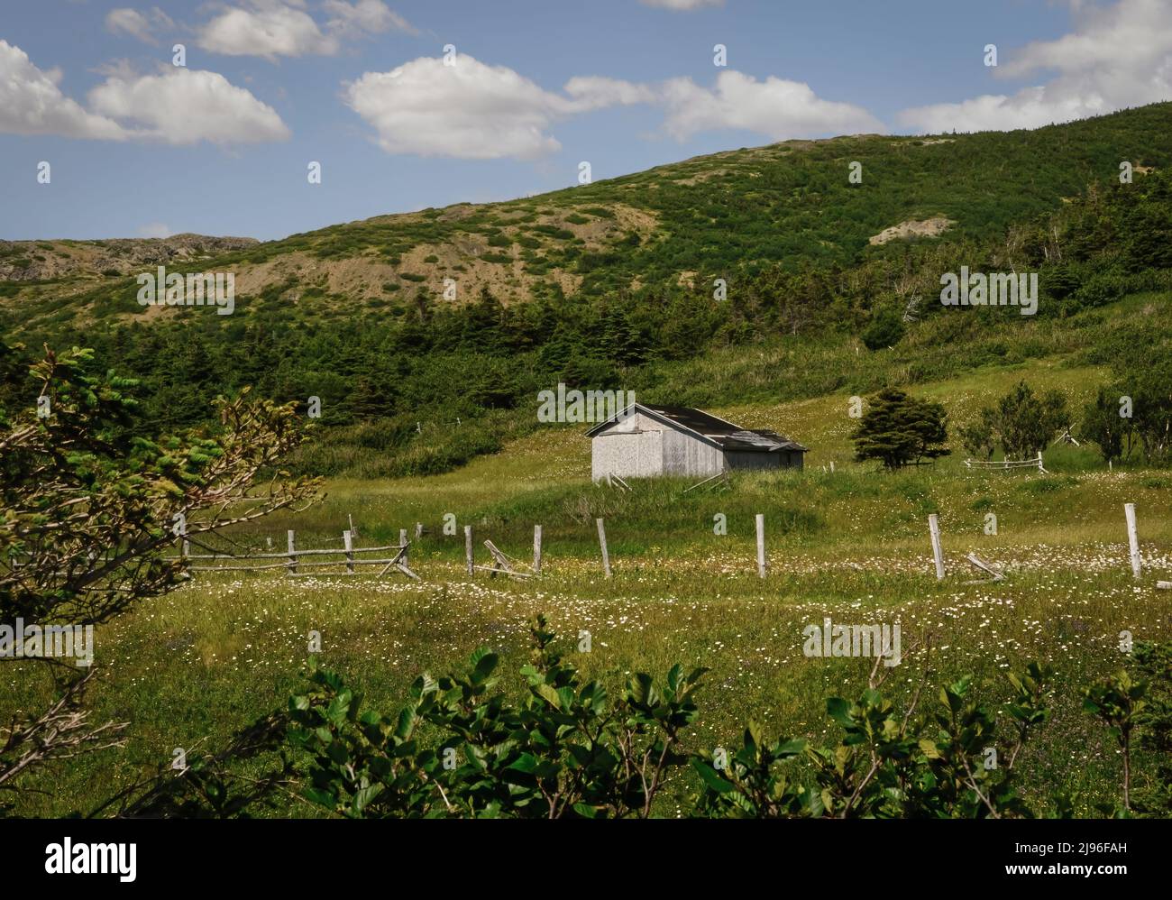 Newfoundland farm hi-res stock photography and images - Alamy